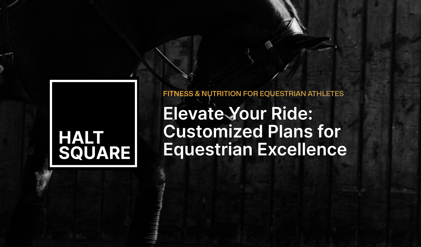 Careers - Halt Square